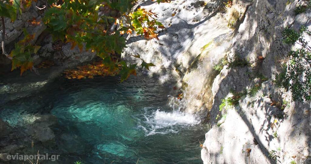 ΦΑΡΑΓΓΙ ΑΓΑΛΗΣ | Στενή Ευβοίας